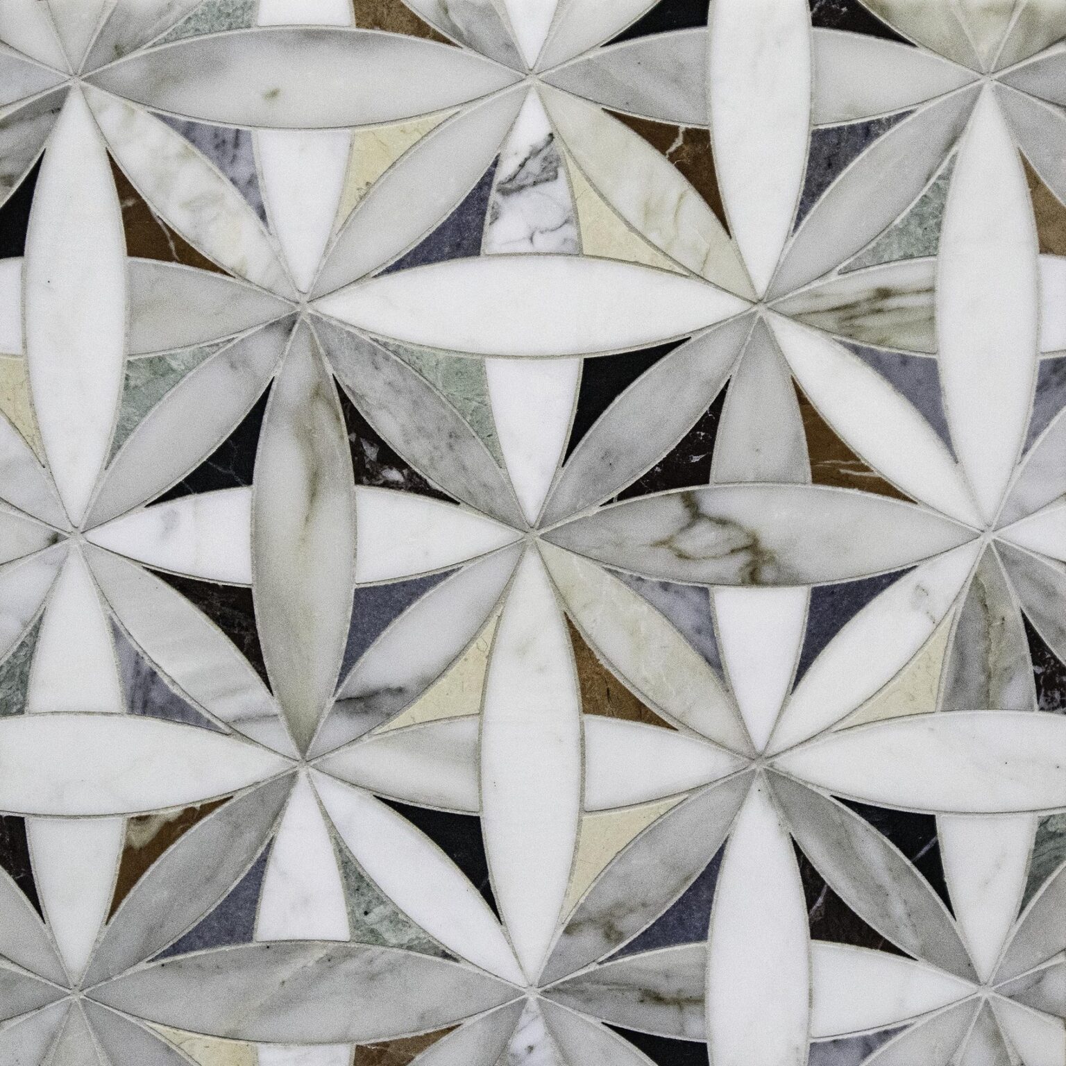 avant garde collection - CasaSymari