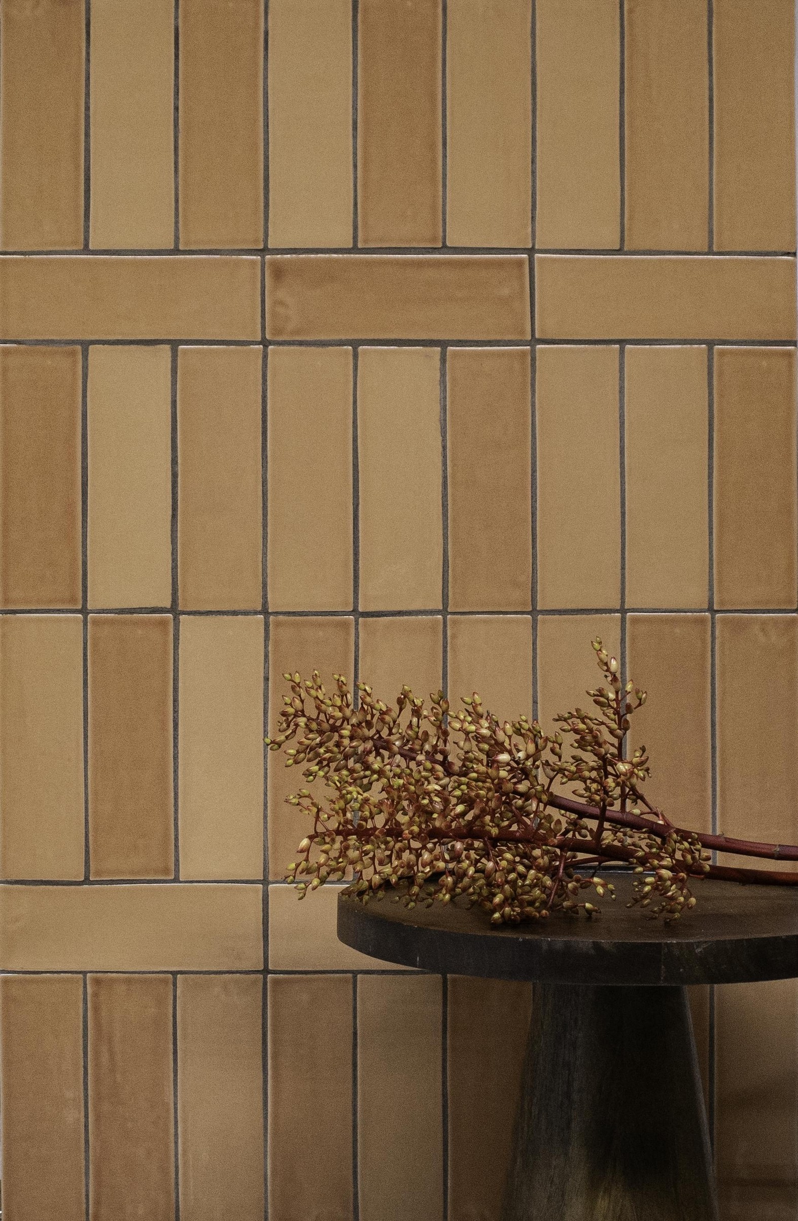 Tantalize Tickle My Fancy 2.5X8 Ceramic Tile - CasaSymari